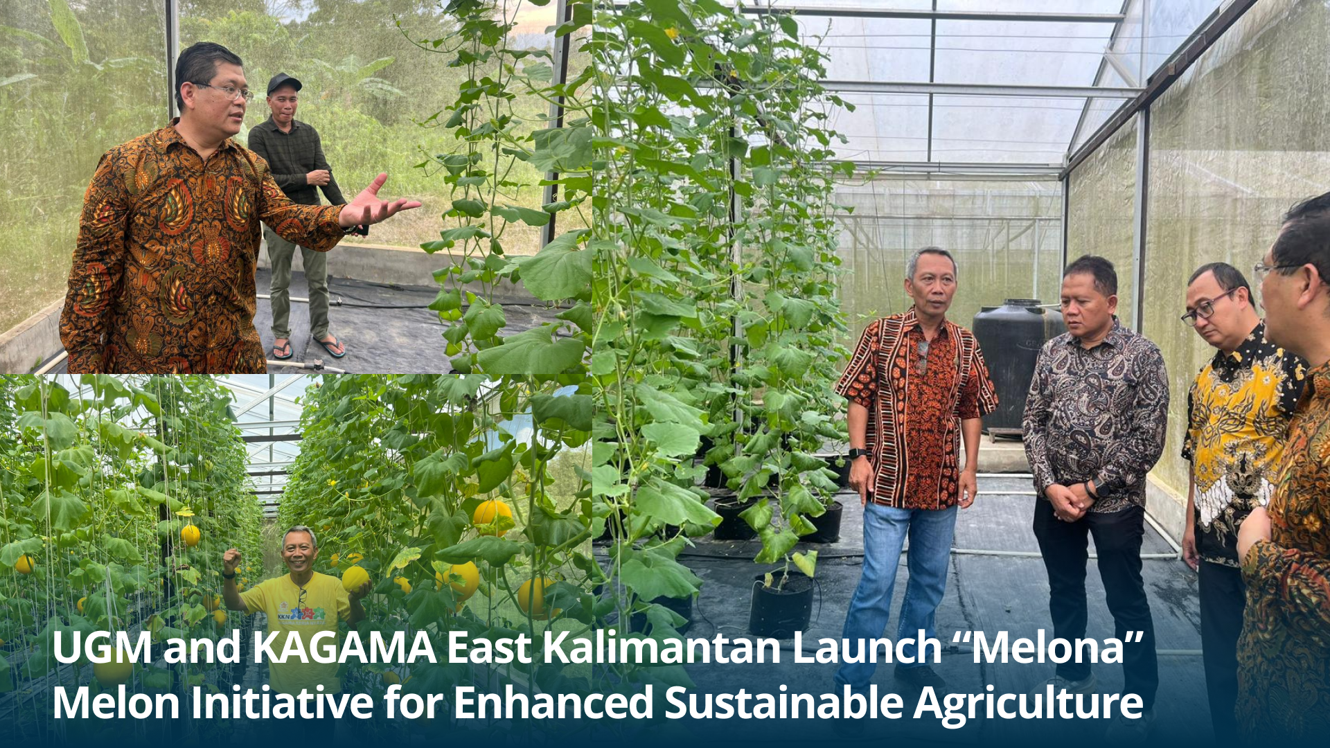 UGM and KAGAMA East Kalimantan Launch “Melona” Melon Initiative for ...